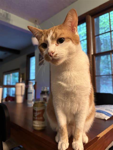 Up Close Orange Guy Scrolller