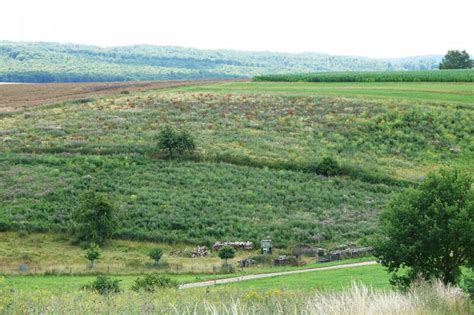 Fallow Land Promotes Bird Diversity Newsmyscience News News 2023