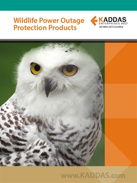 Cutout Switc Covers General Pdf Electric Power Transmission