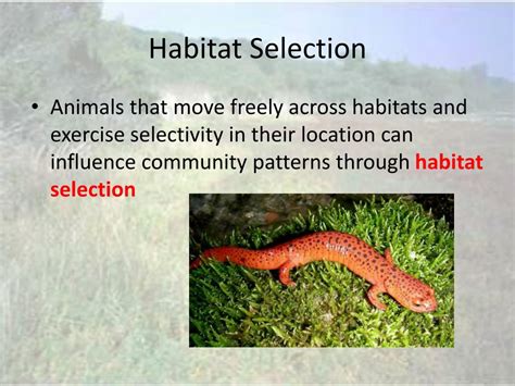 Ppt Habitat Selection Powerpoint Presentation Free Download Id6803606