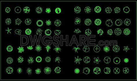 41 Trees Autocad Blocks Free Download