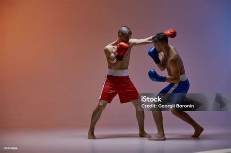빨간 파란색 스튜디오 배경 무술 혼합 싸움 운동에 전투 중 펀치 싸우는 남성 권투 선수의 스파링 2명에 대한 스톡 사진 및 기타 이미지 Istock