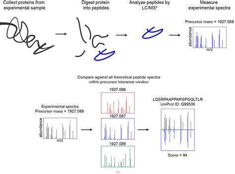 Proteomics Search Engine Written In Rust R Rust