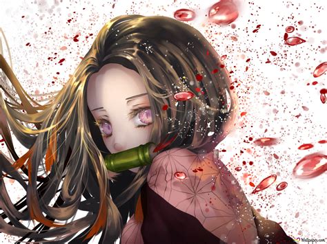 카마도 네즈코 23 2k 배경화면 다운로드