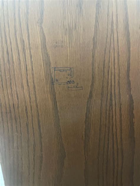 In The Wild R Suddenlydashspider