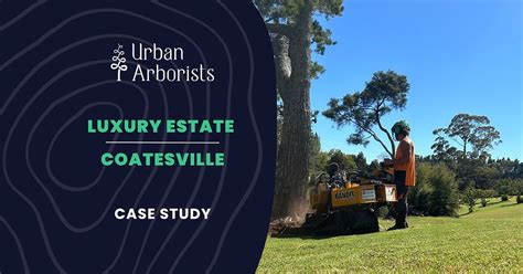 Case Study Precision Tree Care At A Luxury Estate In Coatesville