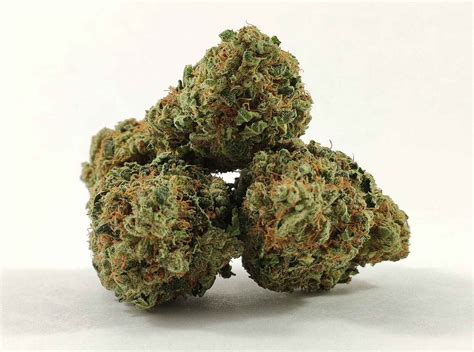 Chemo Kush Buy In Canada Shrooms Direct