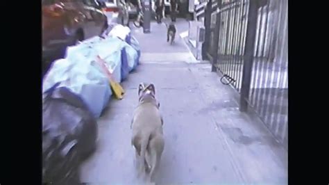 Inside Artist Chitos First Self Published Retrospective The Face