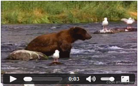 Html5的新特性有哪些？h5新特性 Csdn博客