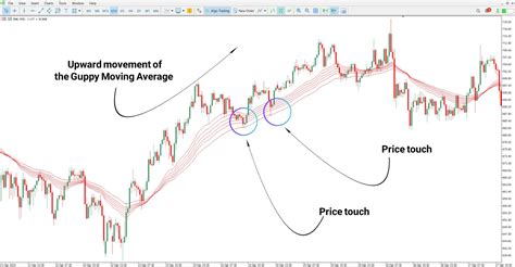 Guppy Multiple Moving Average Long Indicator Mt5 Indicador Técnico Para Download Gratuito Para