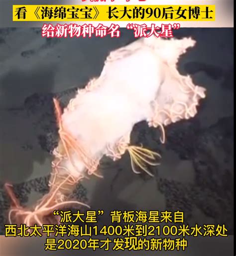 女博士给新物种命名派大星她这样解释网友可可爱爱 北晚新视觉