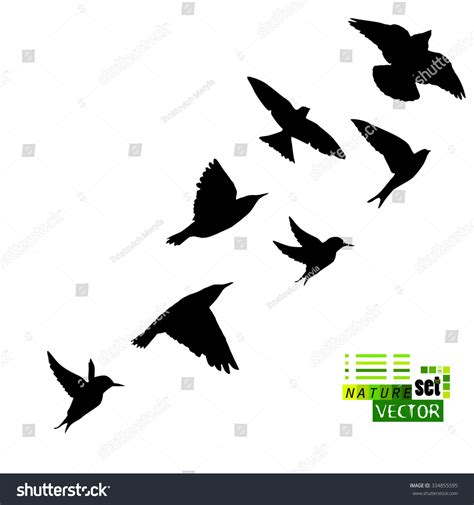 Silhouette Flying Birds Vector Stock Vector Royalty Free 334855595