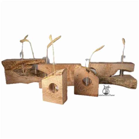 Live Edge Propagation Station Littlebranch Farm