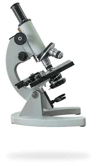 Sitemap Pylarify® For Patients And Caregiver Pylarify®