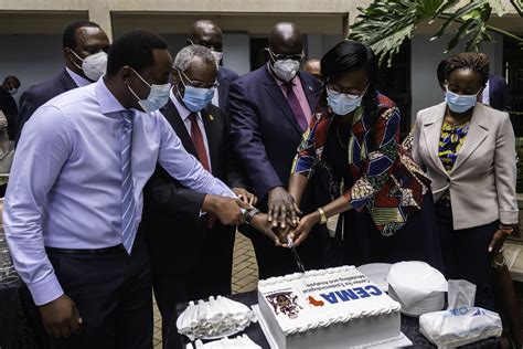 Capacity Strengthening Programs Cema Epidemiology Training