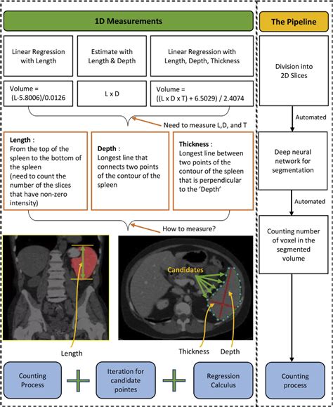 figure 1 from acceleration of spleen segmentation with end to end deep learning method and