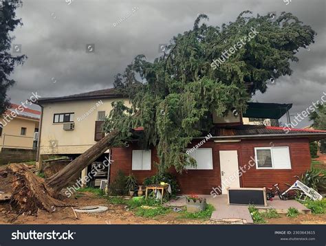 Tree Fallen On Roof Images Stock Photos D Objects Vectors Shutterstock