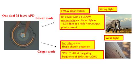 Sped Group 研究領域