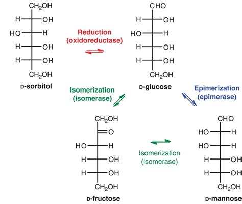 Mannose Structure