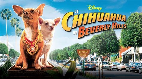 Beverly Hills Chihuahua 2008 Az Movies