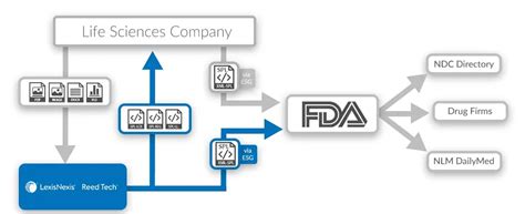 Spl And Xml Services For Rx Otc And Biologics Lexisnexis Reed Tech