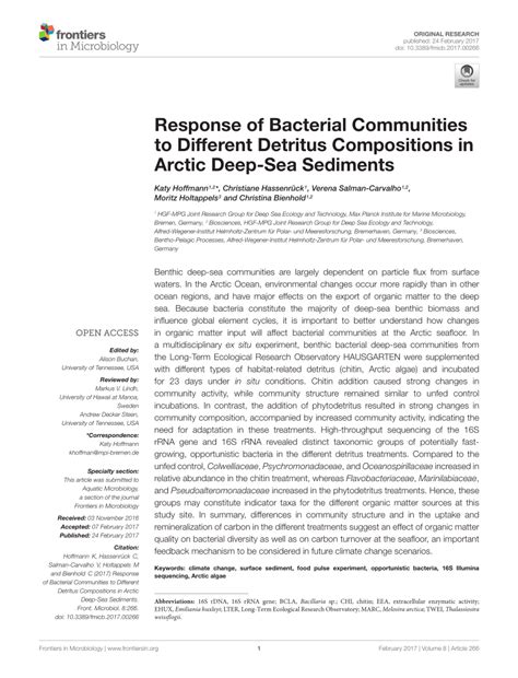 Pdf Response Of Bacterial Communities To Different Detritus Compositions In Arctic Deep Sea