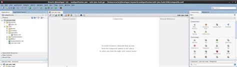 Oracle Fusion Bpm And Soa