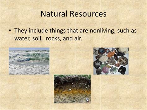 Ppt Classifying Resources Powerpoint Presentation Free Download Id 2695656