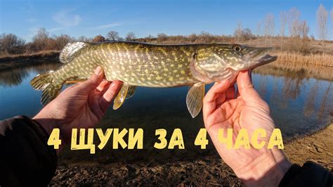 Спининг Риболов На Щука През Декември Youtube