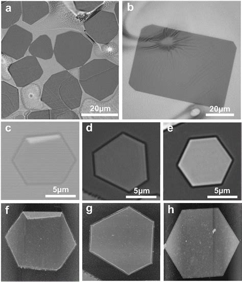 High Quality Ultrathin Two Dimensional Transition Group Metal Carbide