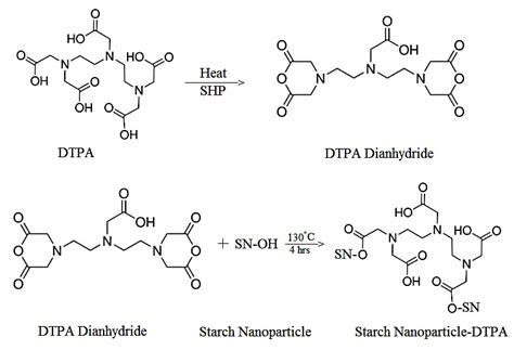 11 Esterification Reaction Of Starch Nanoparticles With Dtpa
