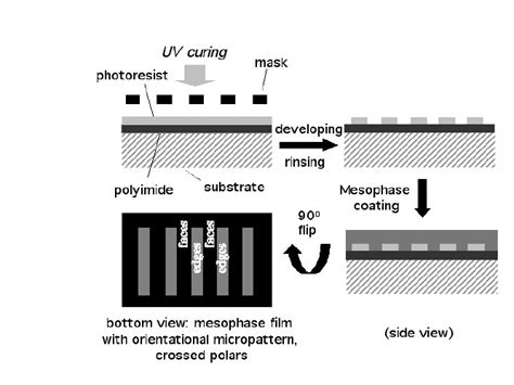 Schematic Of The Lithographic Technique Used To Make Orientationally Download Scientific