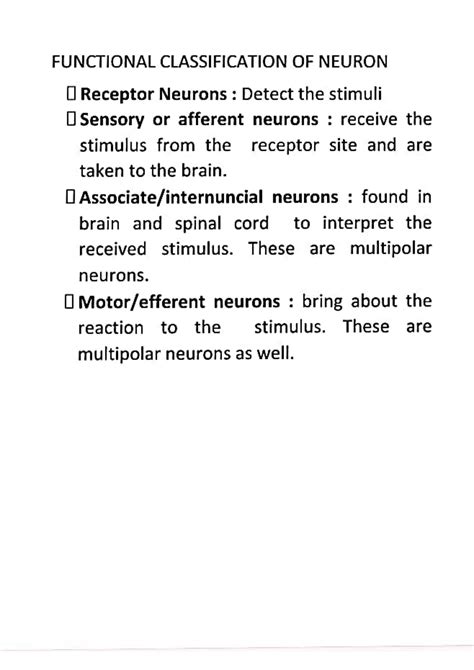 Solution Functional Classification Of Neuron And Neuroglia Studypool
