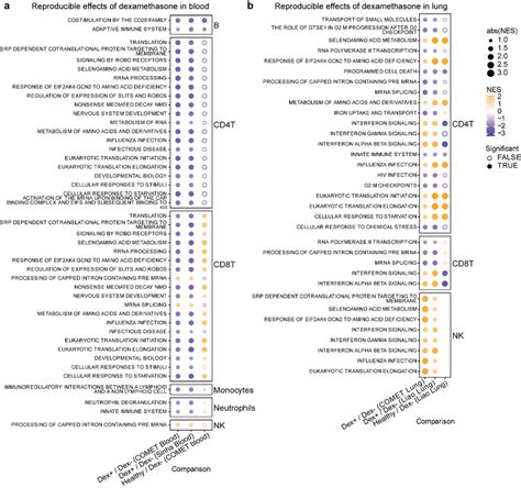 Dexamethasone Has Discordant Effects On Cell Type Specific Gene 251 Download Scientific Diagram