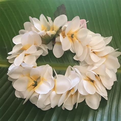 Hawaiian Plumeria Flower Lei Fresh Flower Hawaiian Leis Shipped Online
