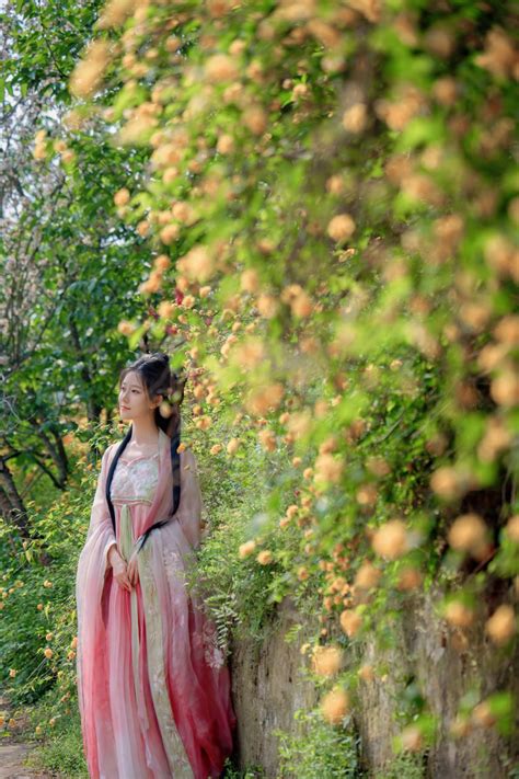 年年 海棠仙 奈奈cosplay