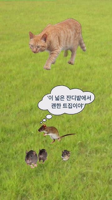 뛰는 놈 위에 나는 놈 있다 Youtube