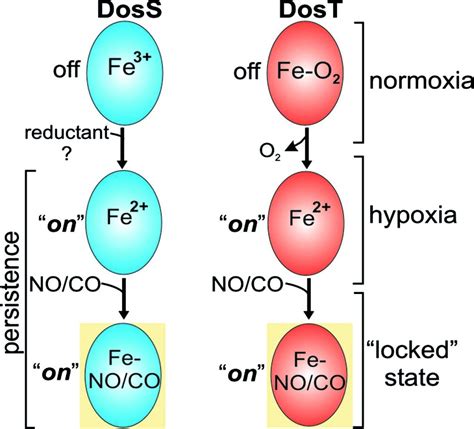 Discovery Of New Molecules That May Treat Tb Faster Scienceindiamag