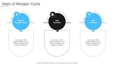 Steps Of Nitrogen Cycle PowerPoint Presentation And Slides PPT Template SlideTeam