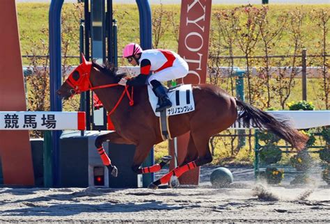【新馬戦】ナリノエンブレム 3馬身差快勝 ルメール「マイペースで走れました」 競馬ニュース Netkeiba