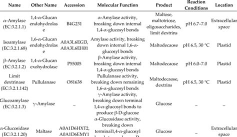 Major Enzymes Identified In The Starch Degradation During Maize Seed Download Scientific
