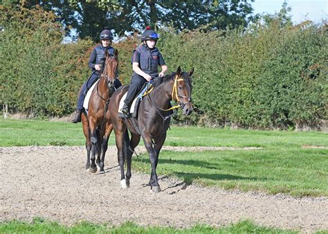 Travel Candy Ire Brian Ellison Racing