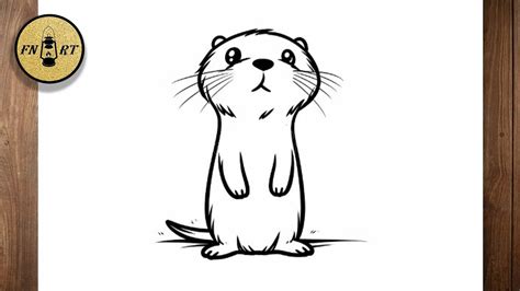 How To Draw A Cute Sea Otter Easy Youtube