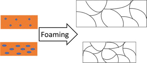 Sustainable Immiscible Polylactic Acid Pla And Poly3 Hydroxybutyrate