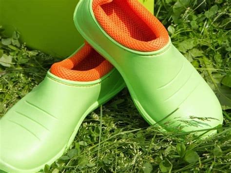 Shoe Garden