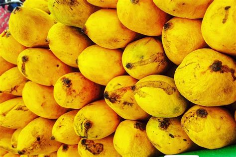 Arvind Kumar Insearchpk