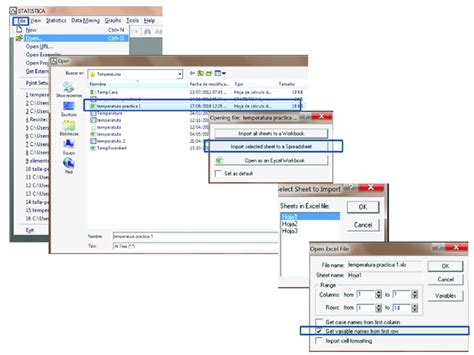 Pasos Para Importar Un Archivo Base De Datos Al Programa Download Scientific Diagram