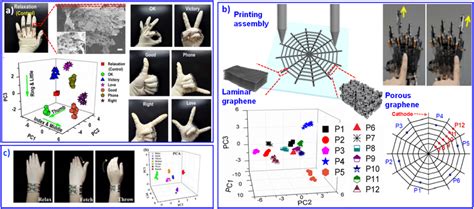 Flexible Sensors Based On Graphene Combination Materials A Printed Download Scientific