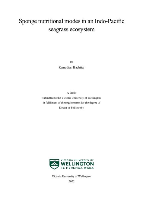 Pdf Sponge Nutritional Modes In An Indo Pacific Seagrass Ecosystem