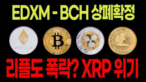 리플 11월 목표가 공개합니다 Youtube